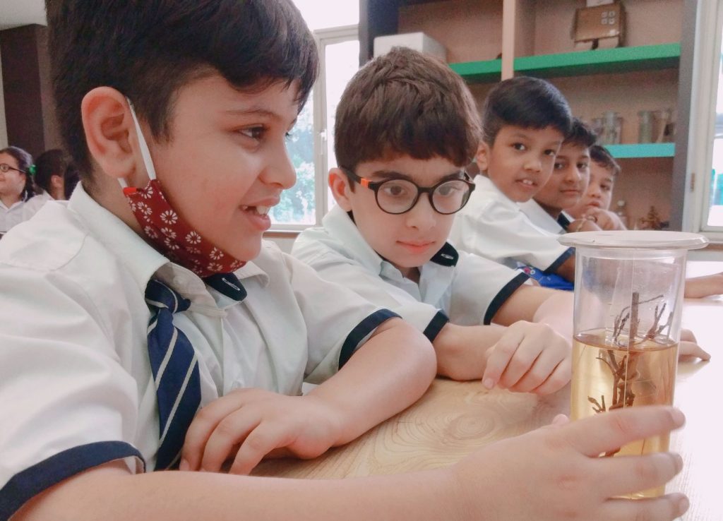 Best School in Pitampura & Delhi, PP International School